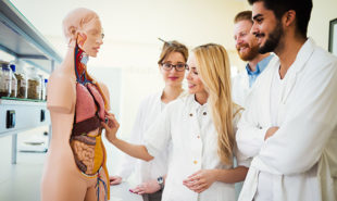 Human Anatomy, Physiology and Medical Terminology Diploma | Online ...