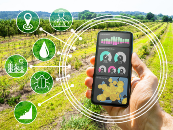 Geospatial Technology, Remote Sensing and Web Mapping | Studyhub Geospatial Technology, Remote Sensing and Web Mapping | Studyhub